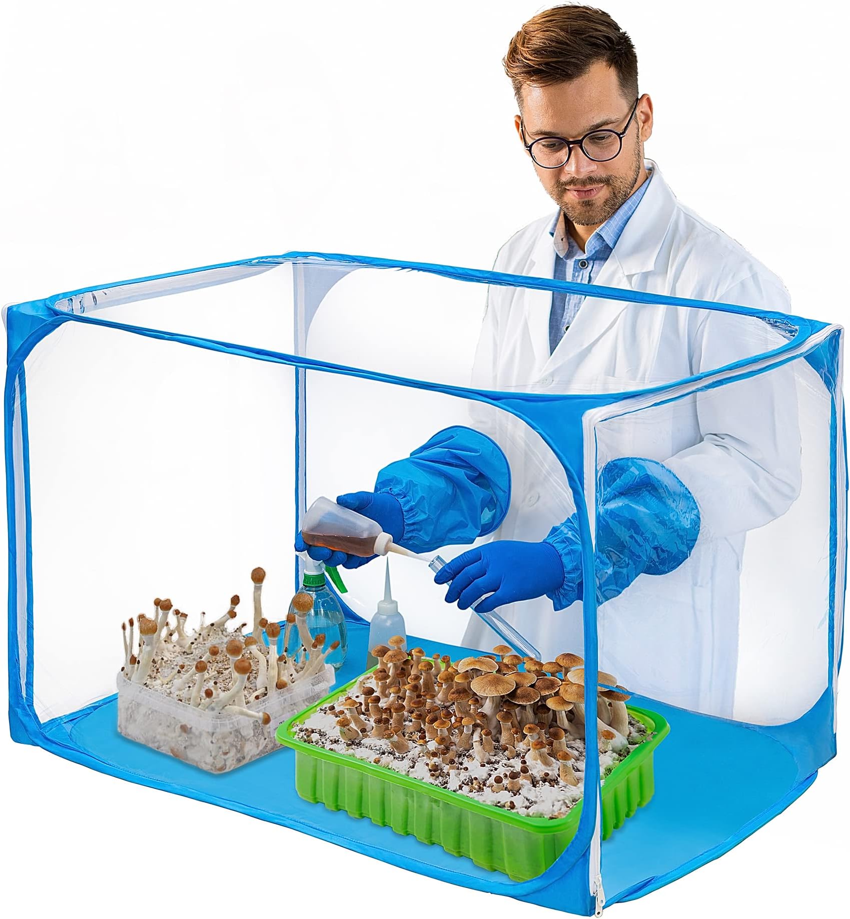 Amazon.com : Mycology Men Premium Large 74 Quart Still Air Box for ...