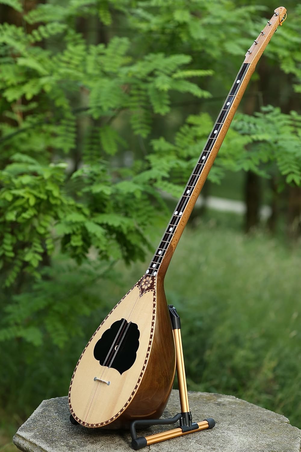 Amazon.com: Albania - Kosova Sharki (Cifteli) Five Strings Musical ...