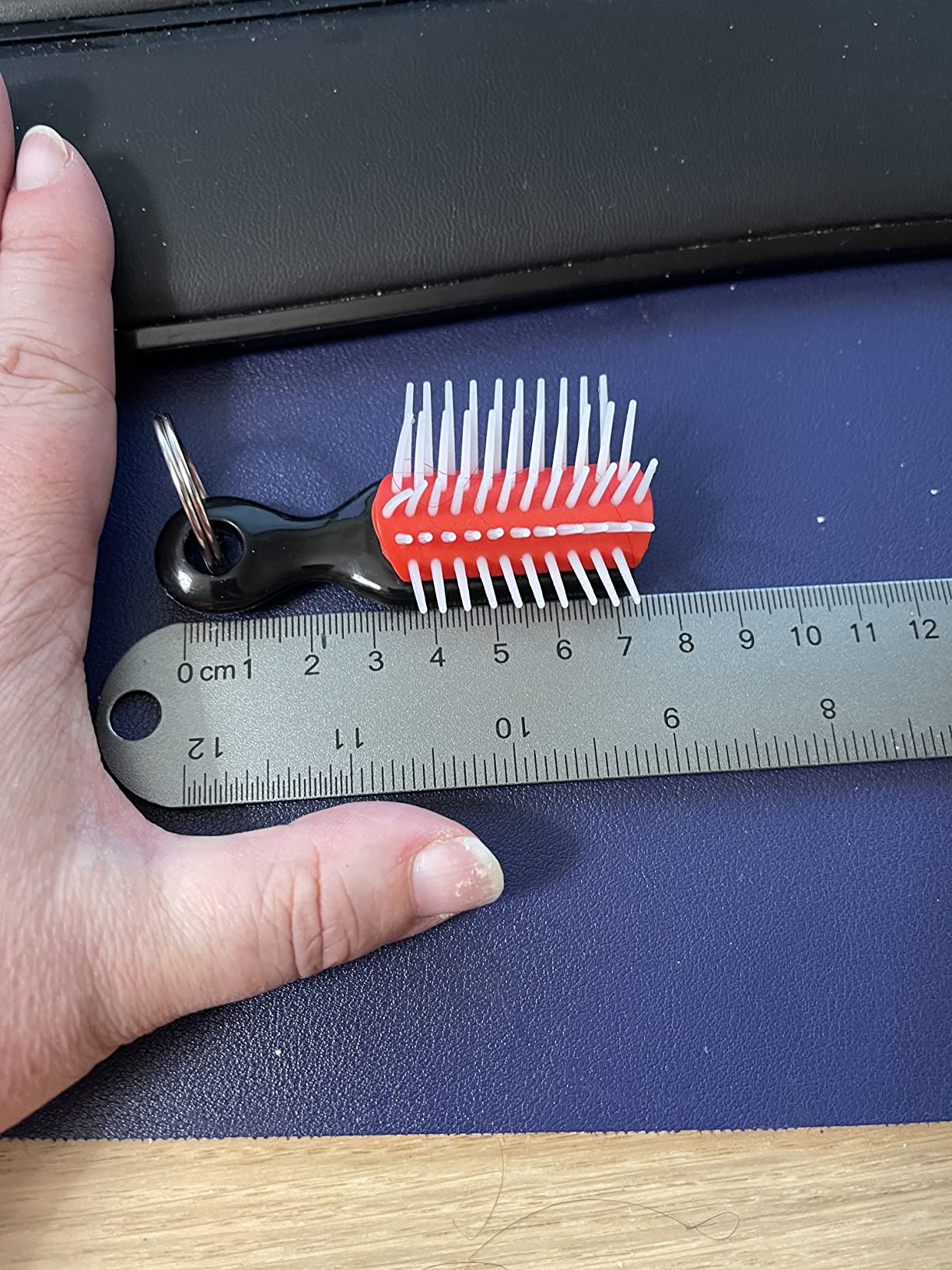 Amazon.com : Denman Mini Keyring Hairbrush,Pack of 1 : Beauty ...