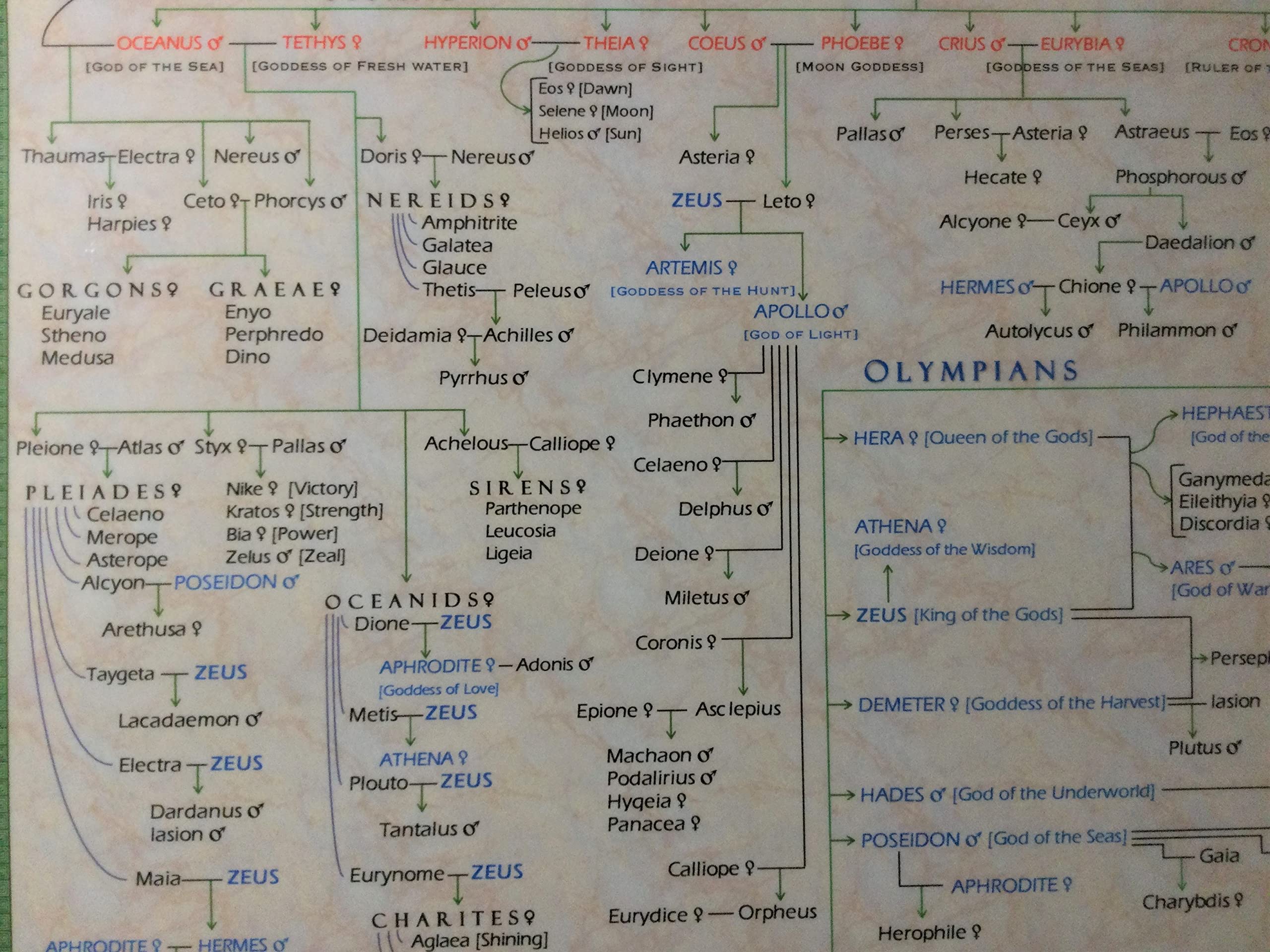 Asclepius Family Tree