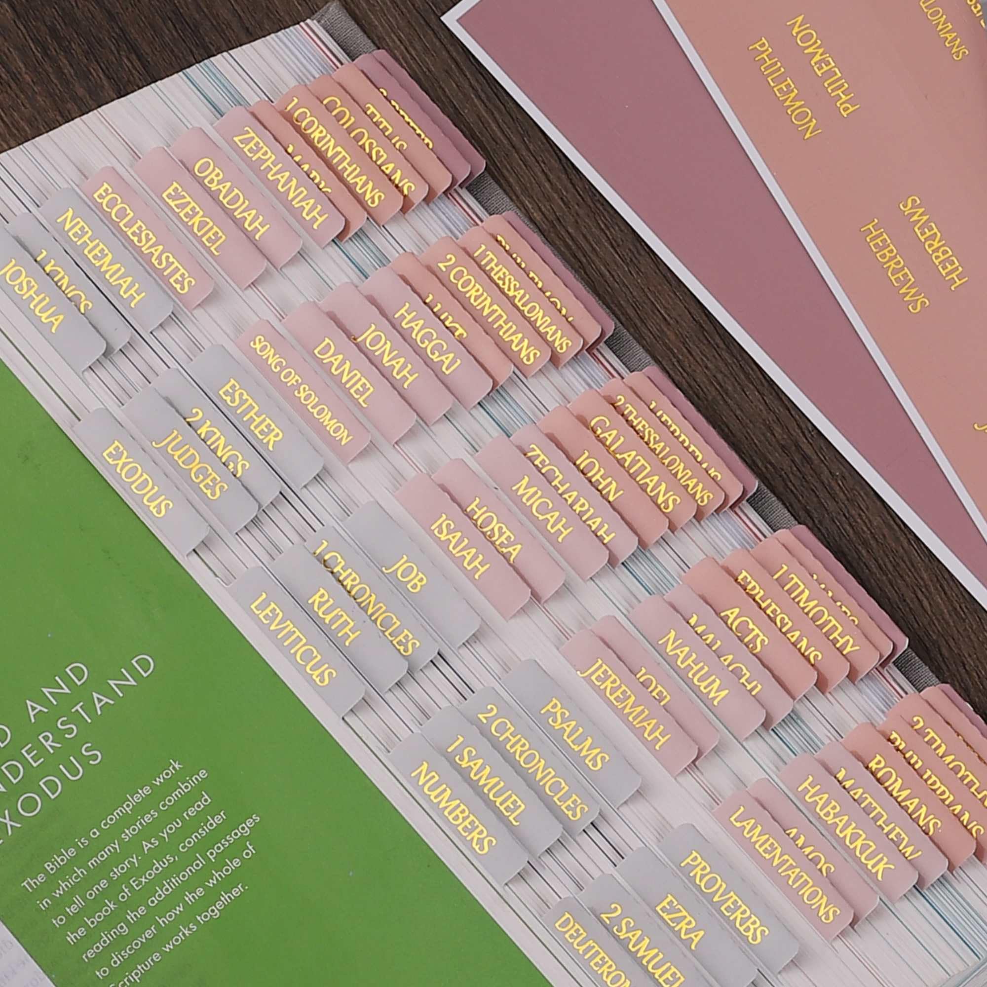 Snapklik.com : Thinkor Reposition Gold Foil Laminated Bible Tabs, Large ...