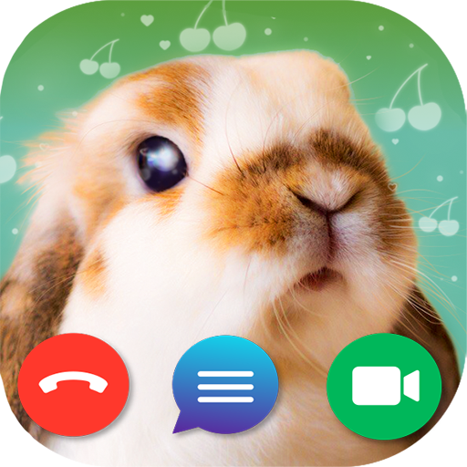Fake Call: Bunny - App on Amazon Appstore