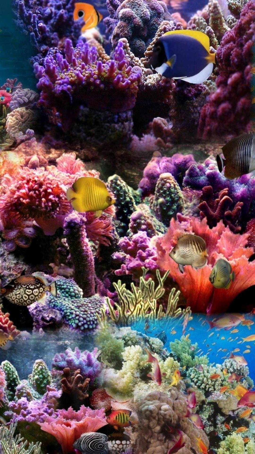 Aquarium Screensaver - App on Amazon Appstore