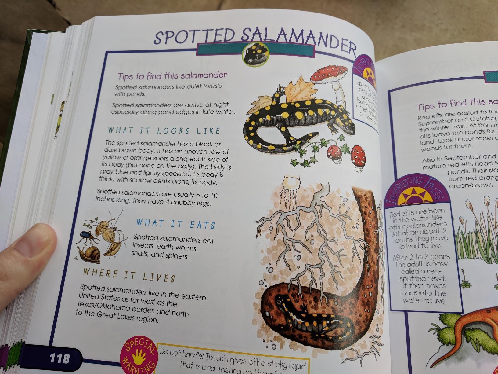 Fun With Nature: Take Along Guide (Take Along Guides): Boring, Mel ...