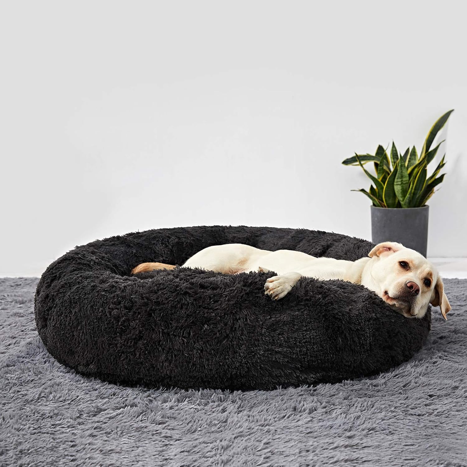 ANWA Washable Dog Round Bed Large Dogs, Donut Dog Bed Large Dog, Comfy ...