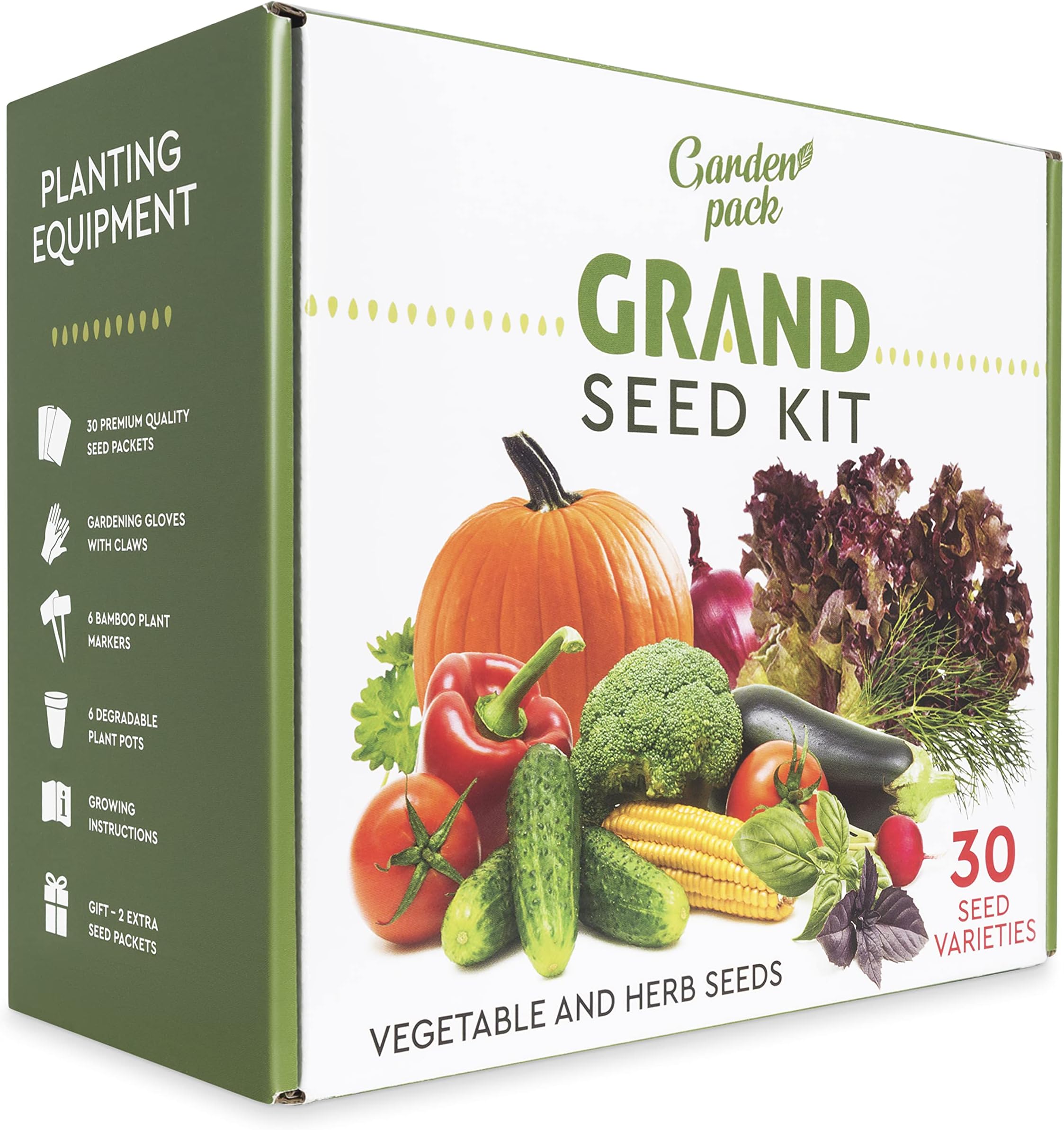 Plant World Seeds - Dragon Fruit Seeds (Tropical Fruit Seeds) : Amazon ...