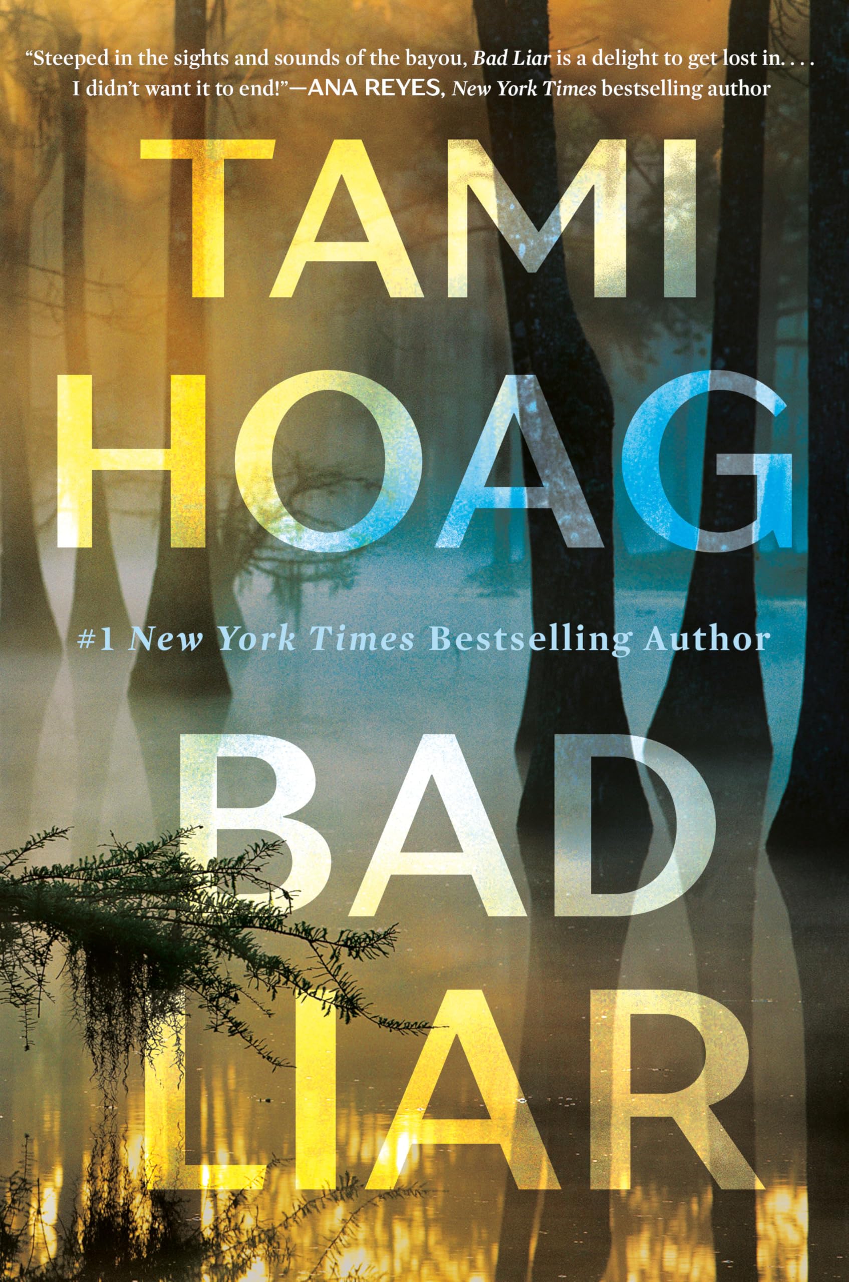 Amazon.com: Bad Liar: A Novel: 9781101985434: Hoag, Tami: Books