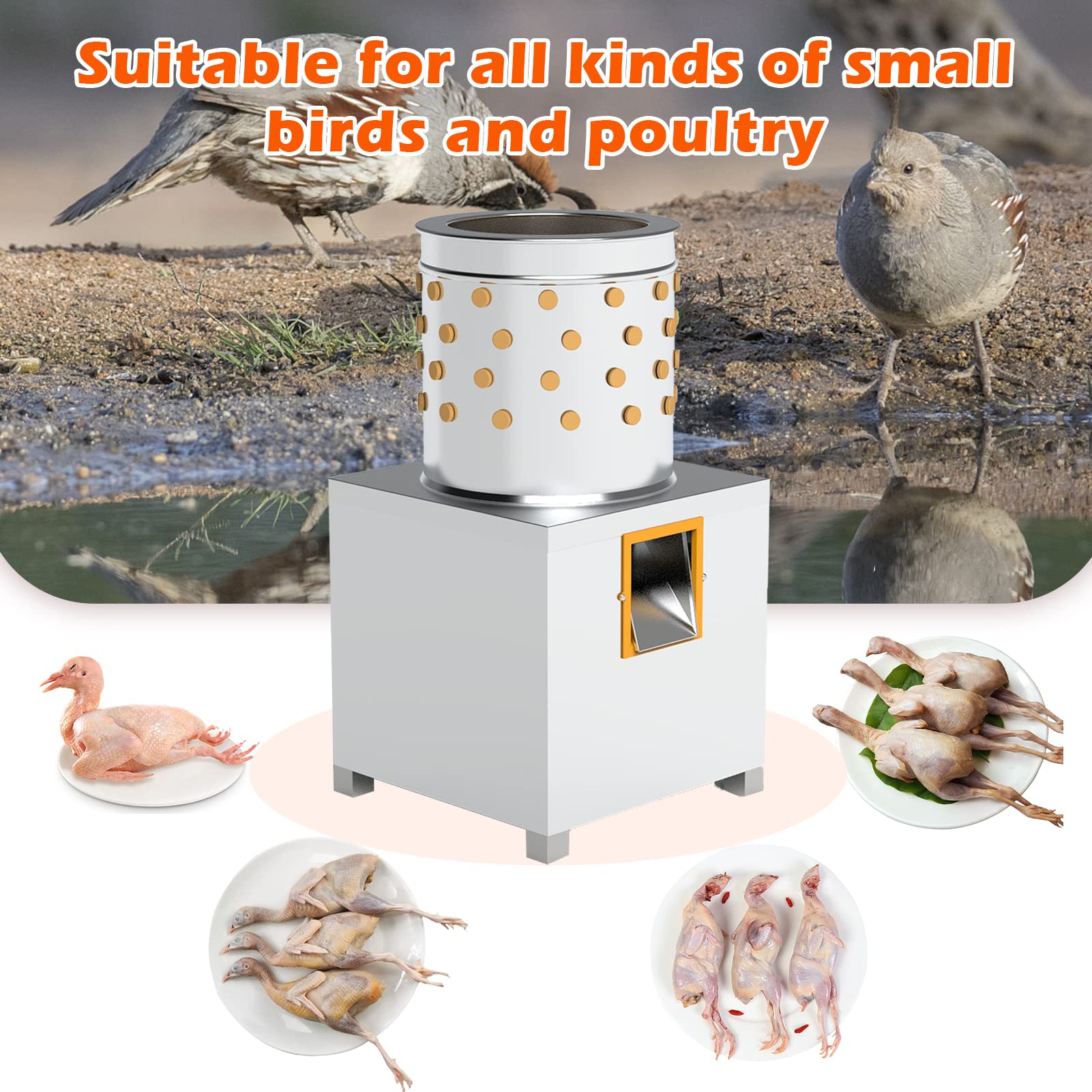 HOWUXZO 12Inch Small Size Birds Quail Chicken Poultry Plucker Machine ...