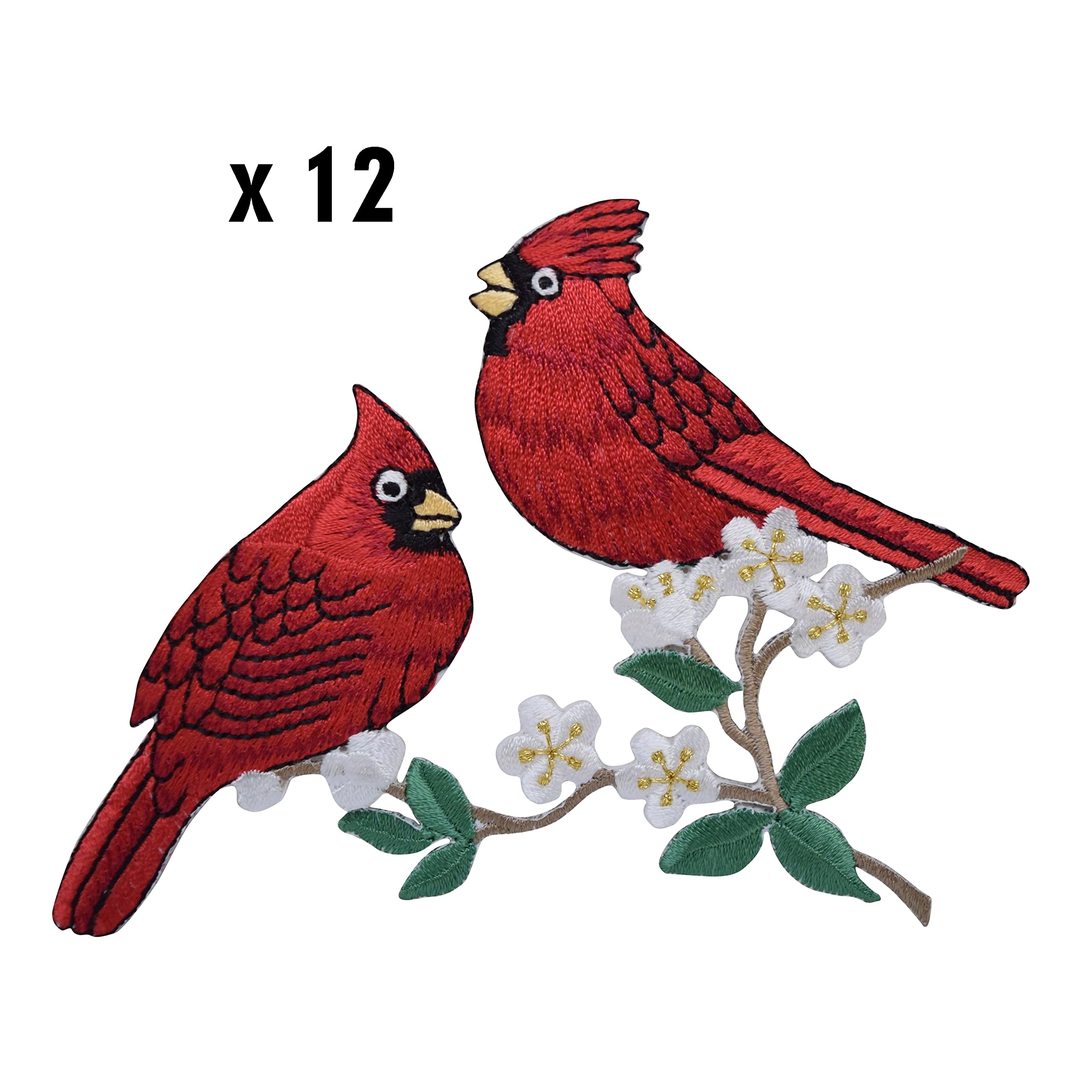 Cardinal Reading A Book Clipart