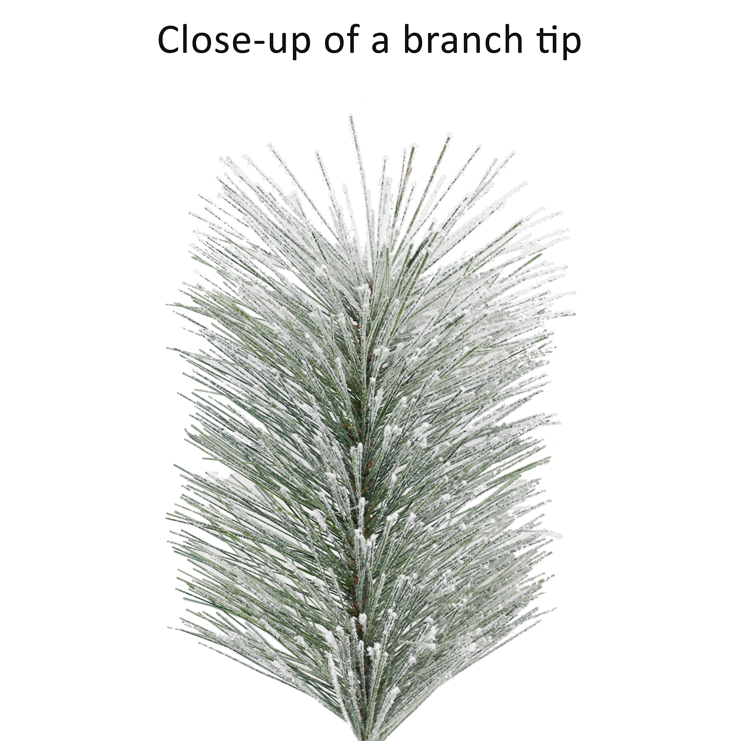 Puleo International Inc. Puleo International 50 Warm White LED Lights ...