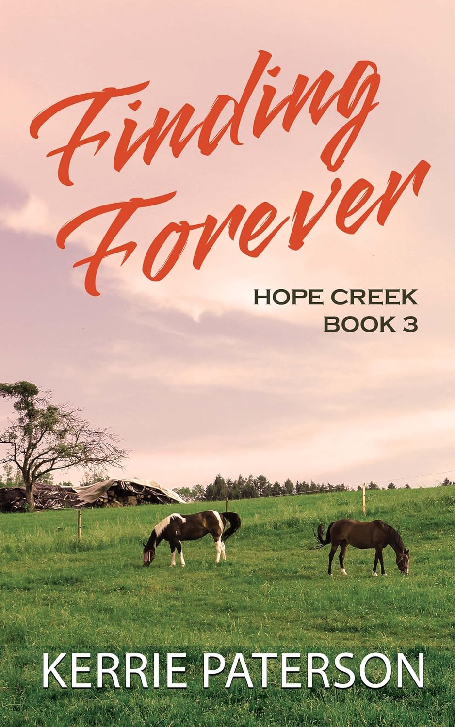 Finding Forever (Hope Creek Small town romance Book 3) eBook : Paterson ...