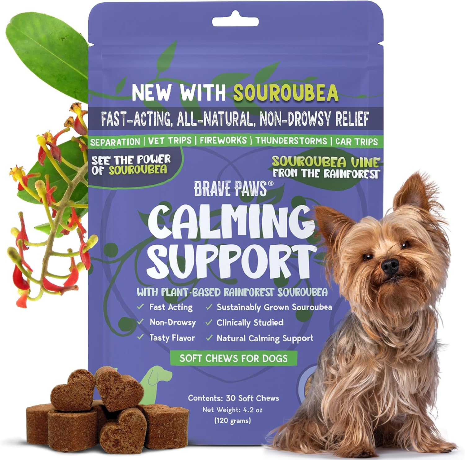 Amazon.com : Calming Chews for Dogs Anxiety | Puppy & Dog Anxiety ...