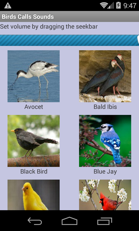 Bird Sounds - App on Amazon Appstore
