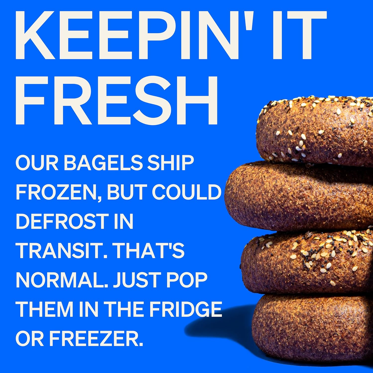 UNBUN Totally Grain Free and Keto Everything Bagels, 12.7 Ounce , 5g ...