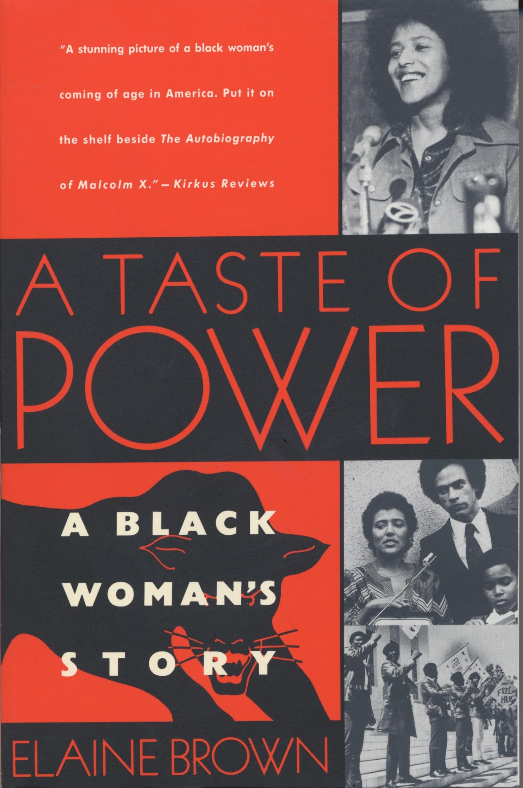 Elaine Brown A Taste Of Power A Black Panther's Journey In Breaking
