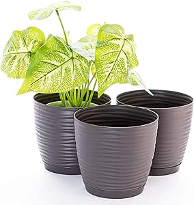 Home Garden Ornaments Large Wave Plant Pots Indoor, Set of 3 Indoor ...