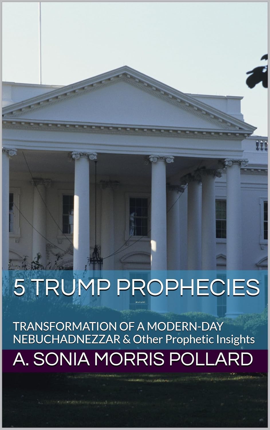Amazon.com: 5 TRUMP PROPHECIES: TRANSFORMATION OF A MODERN-DAY ...