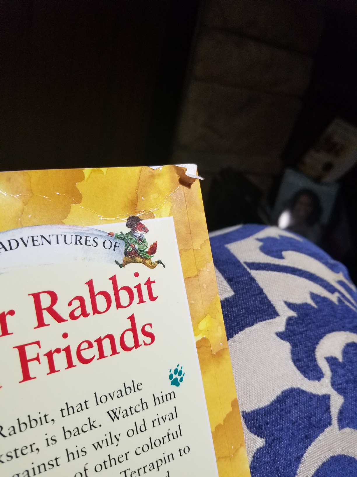 The Adventures of Brer Rabbit and Friends: DK, Harris, Joel Chandler ...