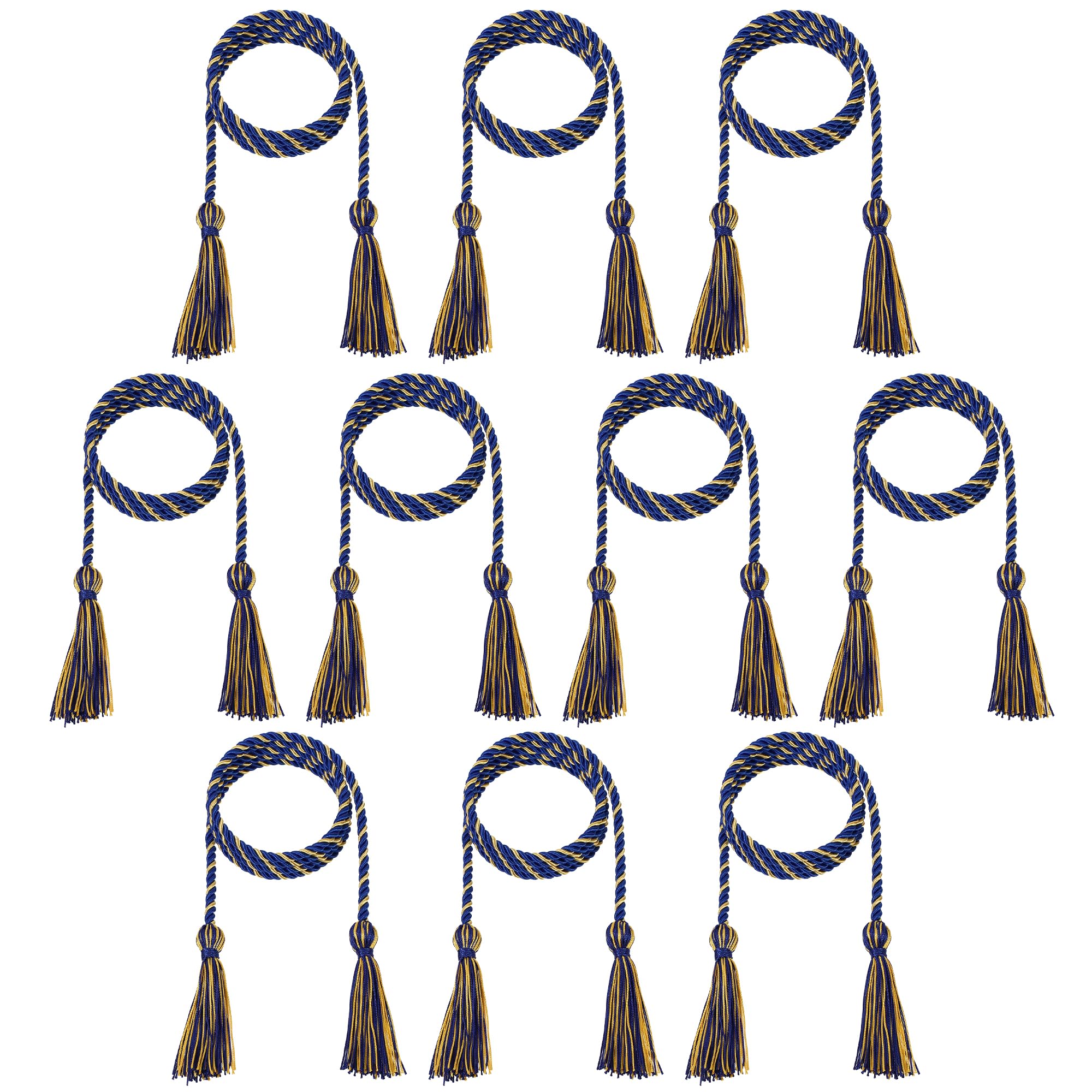 Amazon.com: D DODOU 10 Pieces Graduation Cords Polyester Graduation ...