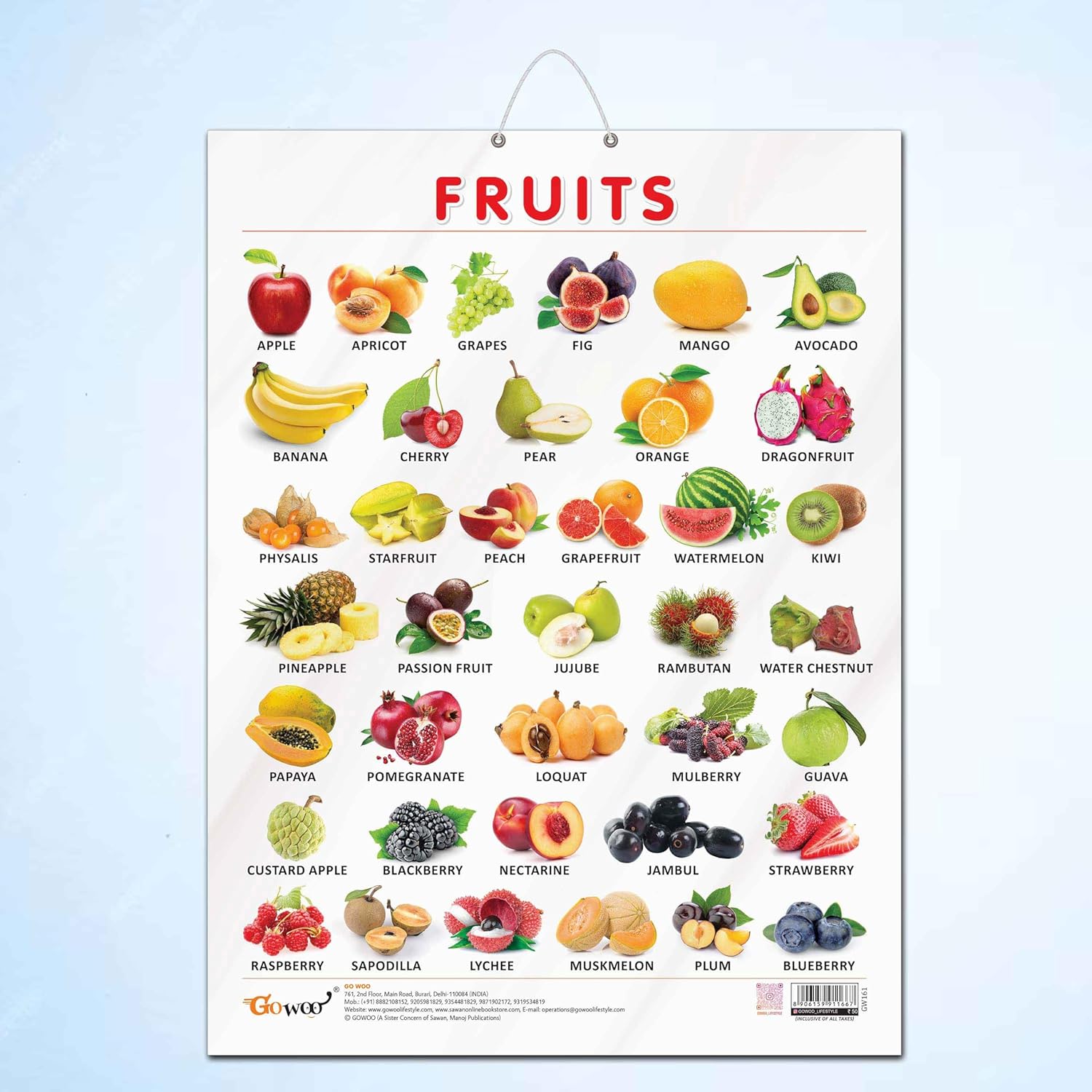 Buy FRUITS CHART GLOSS LAMINATED | Fruitful Discoveries: Gloss ...
