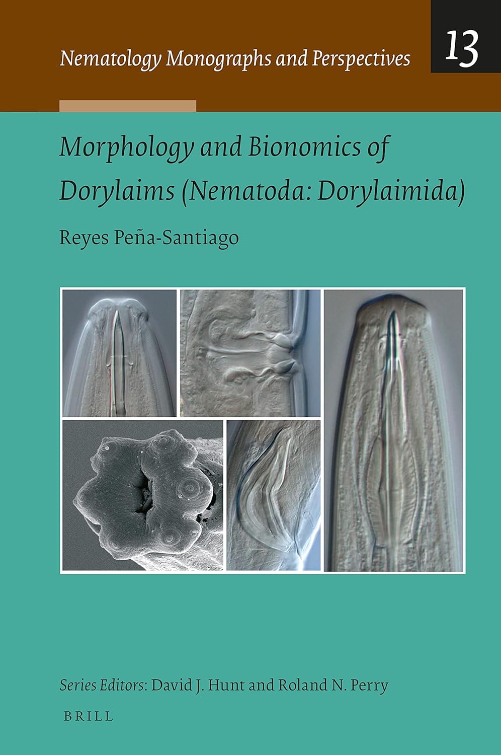 Morphology and Bionomics of Dorylaims (Nematoda, Dorylaimida): Peña ...