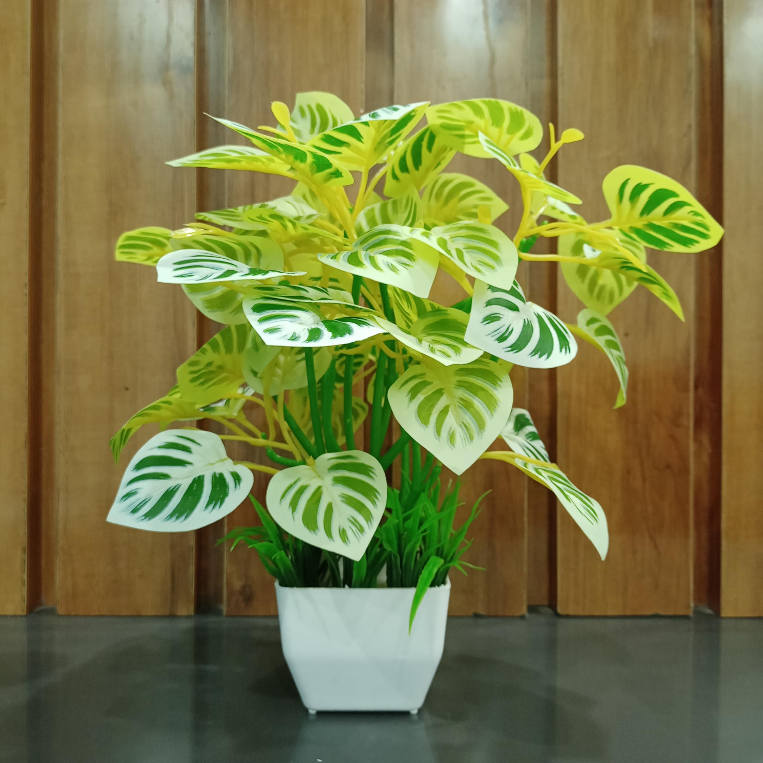 Buy DECOGREEN POTHOS Y, SQ Pot Grass Home, Office Real Touch Money P, Living Room Premium Design ...