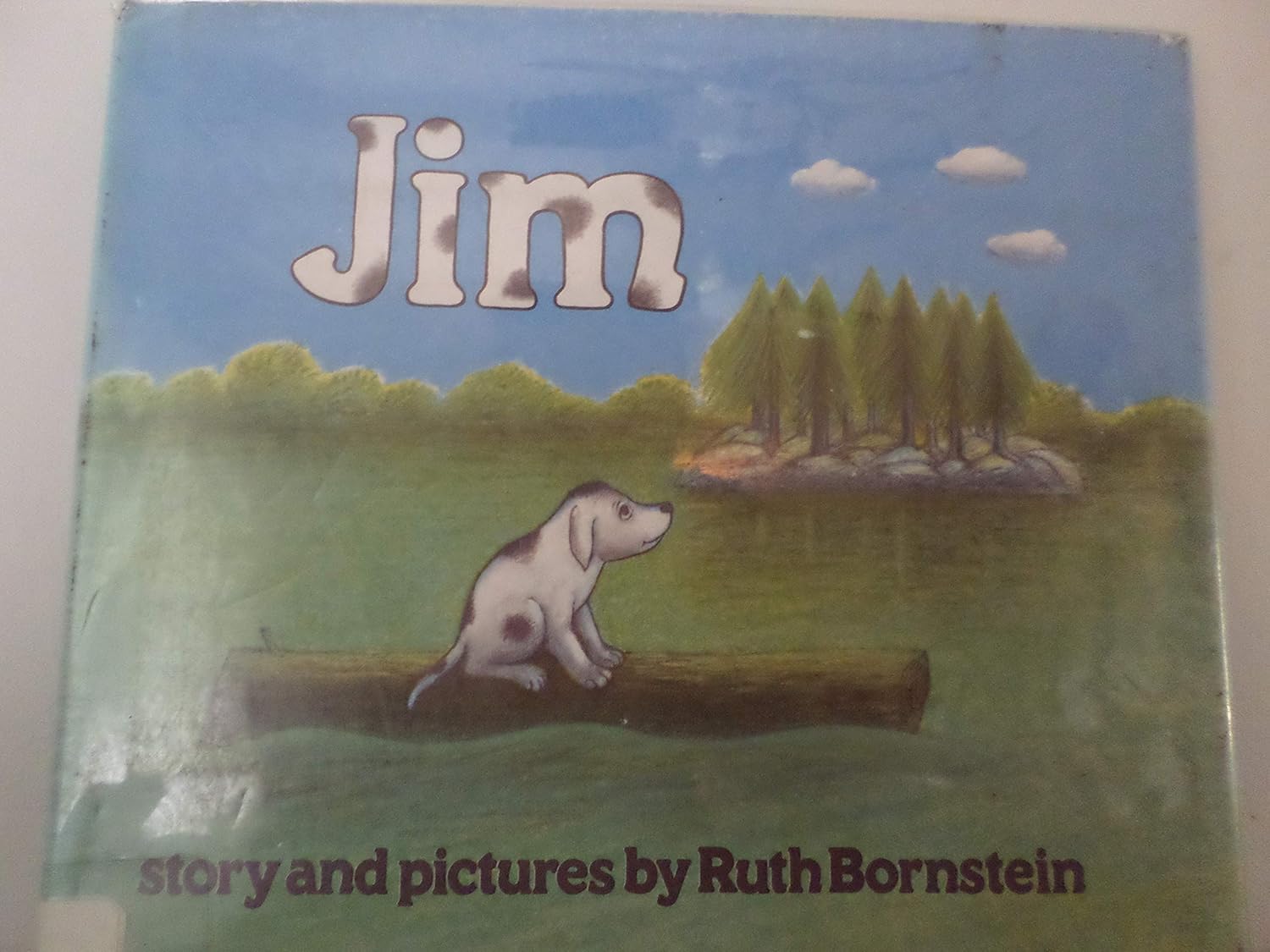 Jim: Bornstein, Ruth: 9780816432042: Amazon.com: Books