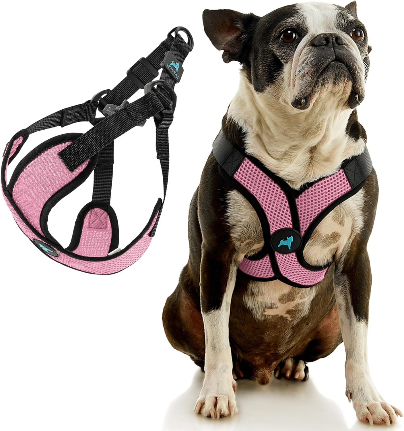 Amazon.com : Gooby Comfort X Step in Lite Dog Harness - Choke Free ...