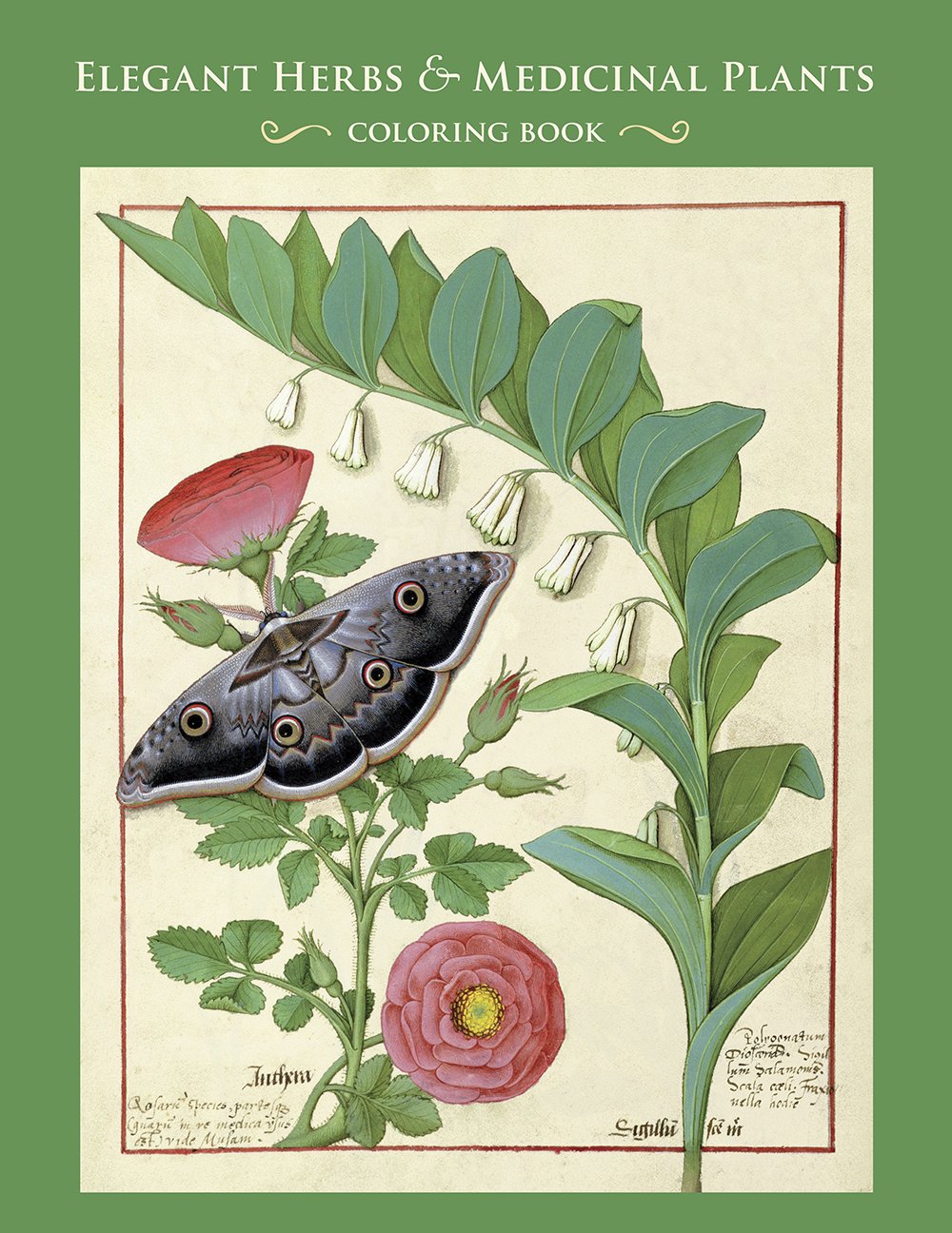 Elegant Herbs and Medicinal Plants Coloring Book: Pomegranate ...