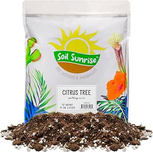 Amazon.com : Citrus Tree Potting Soil Mix (12 Quarts), Special Blend ...