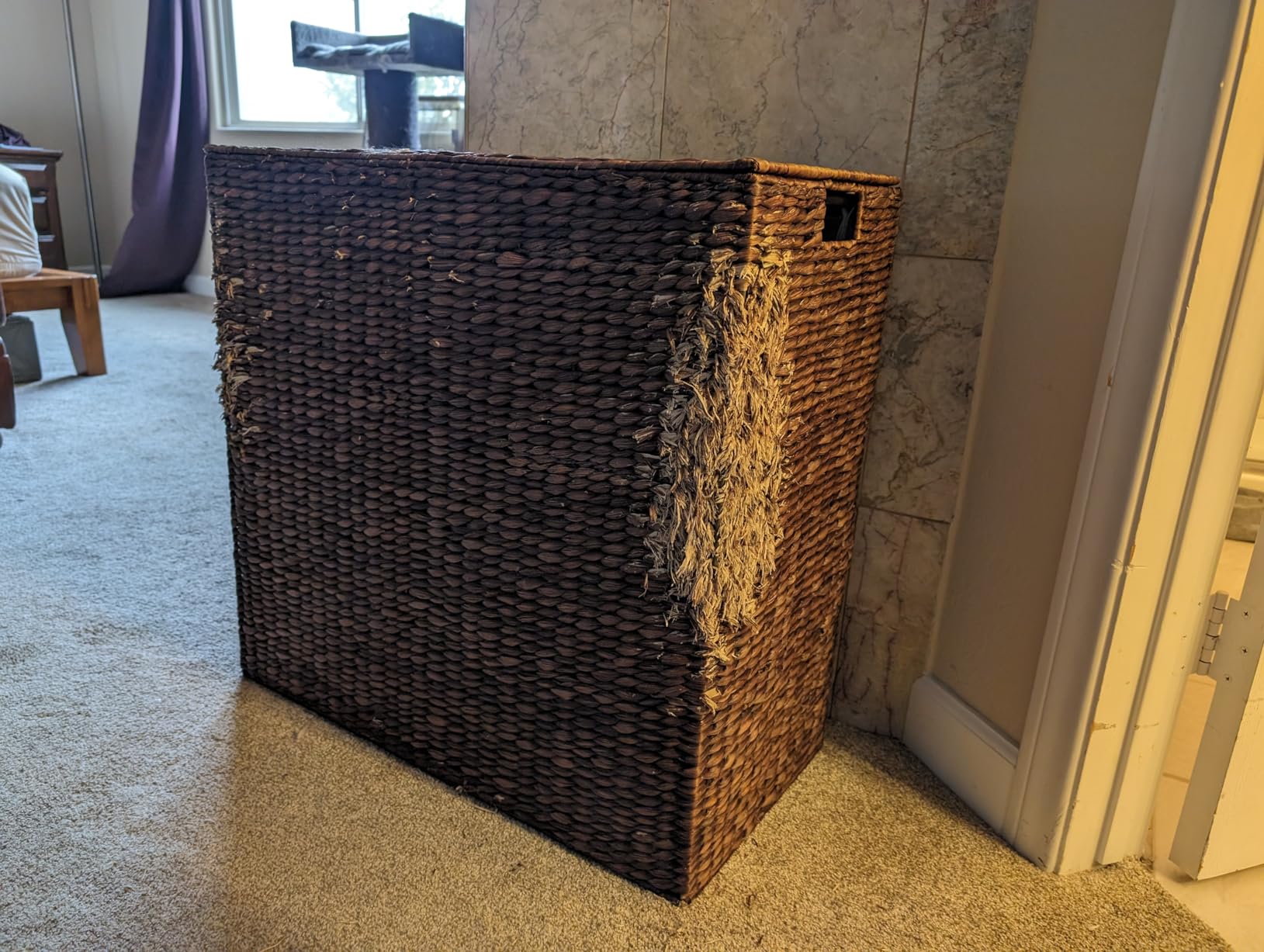 Amazon.com: Best Choice Products Large Double Laundry Hamper with Lid ...