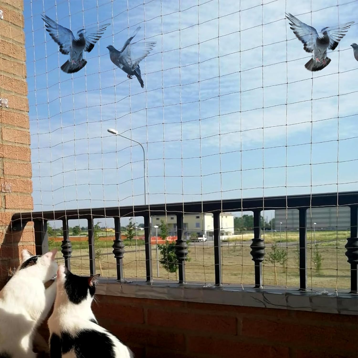 Kuber Industries Bird Net | Nylon Bird Control Net | Net For Balcony ...