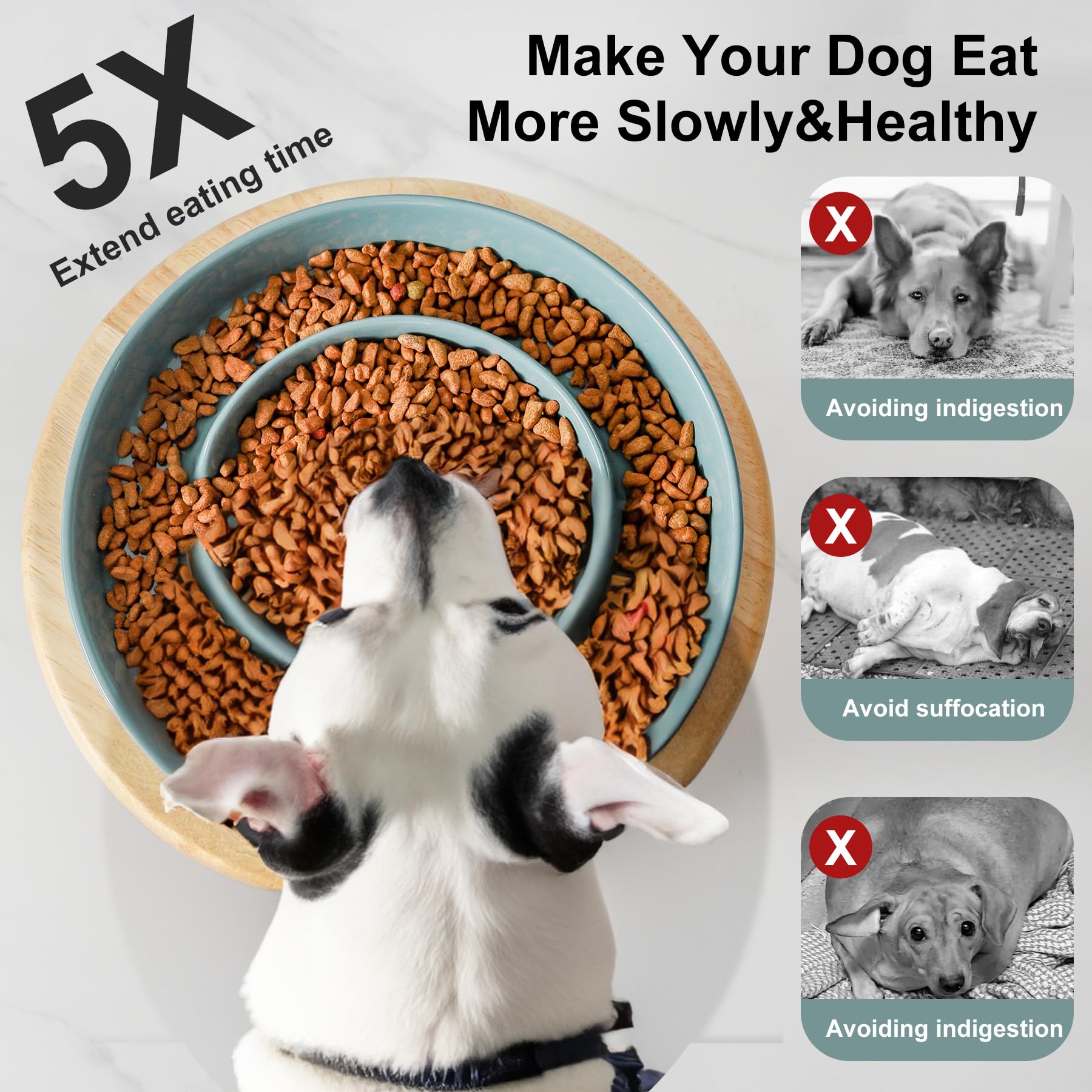 LETAOTAO Slow Feeding Ceramic Dog Bowl, 8.66 inch, Dark Green, for ...