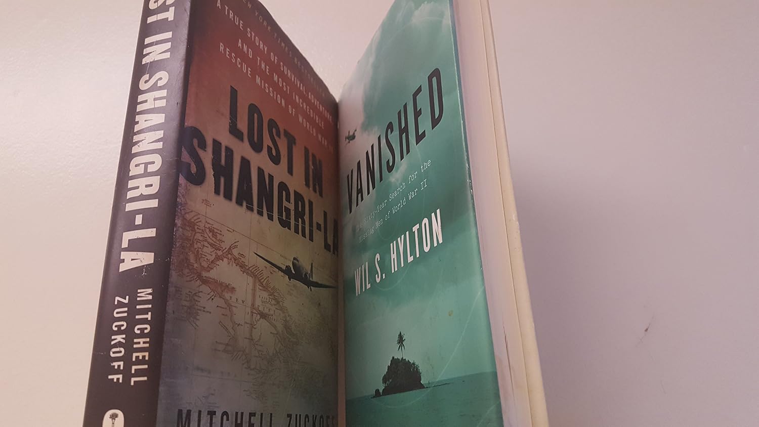 2 Volumes of Missing During WWII Mission Books #1 Zuckoff's Lost in ...