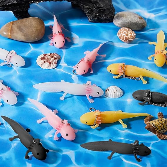Amazon.com: Shappy 24 Pcs Valentines Axolotl Party Favors Mini Axolotl ...