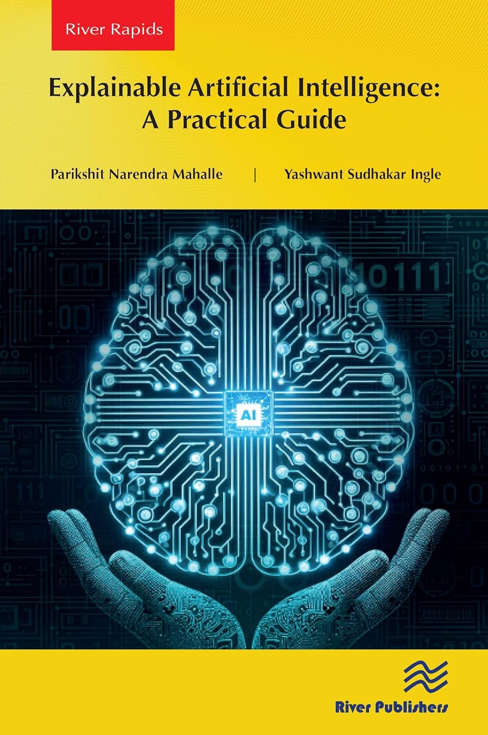Buy Explainable Artificial Intelligence: A Practical Guide Book Online ...