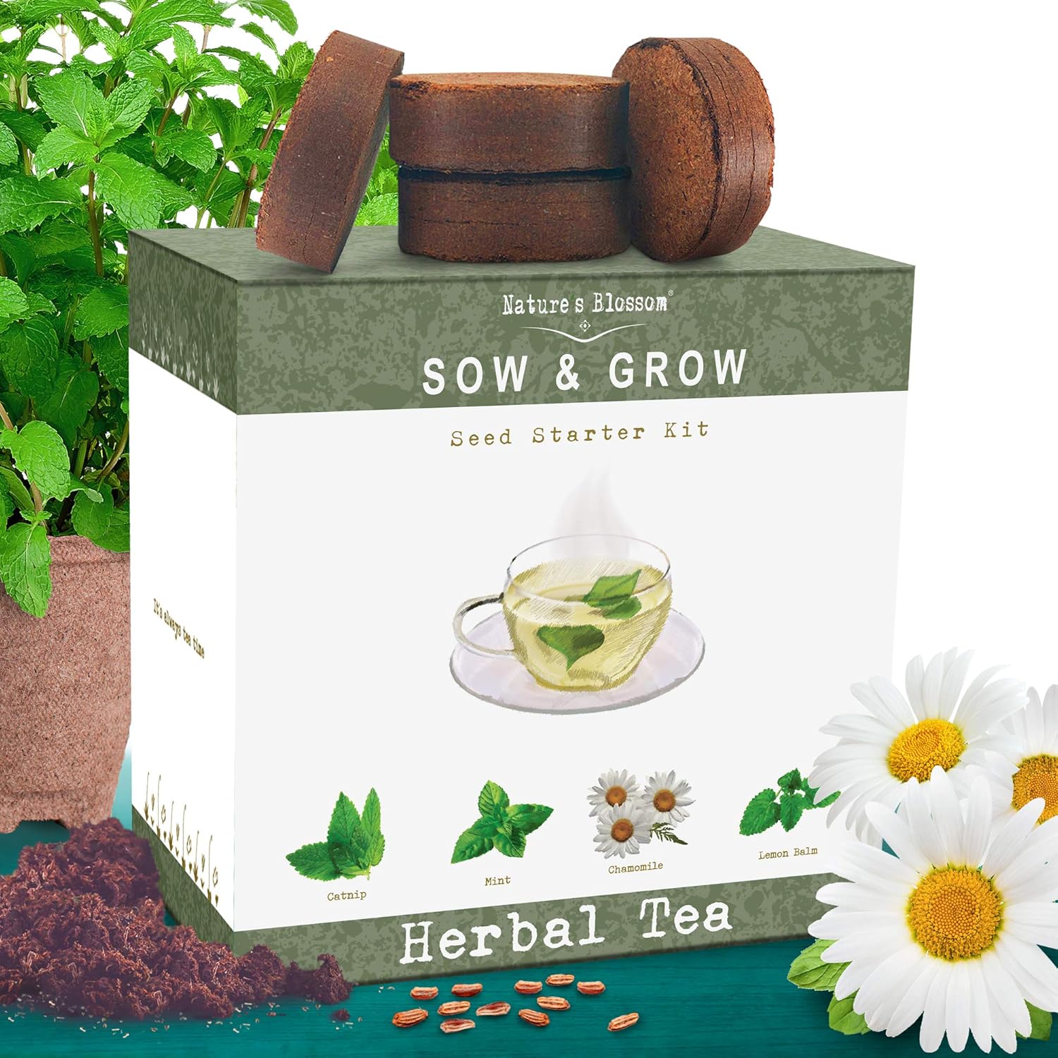 Amazon.com: Grow 4 Herbs for Making Herbal Tea - Indoor Garden Seed ...
