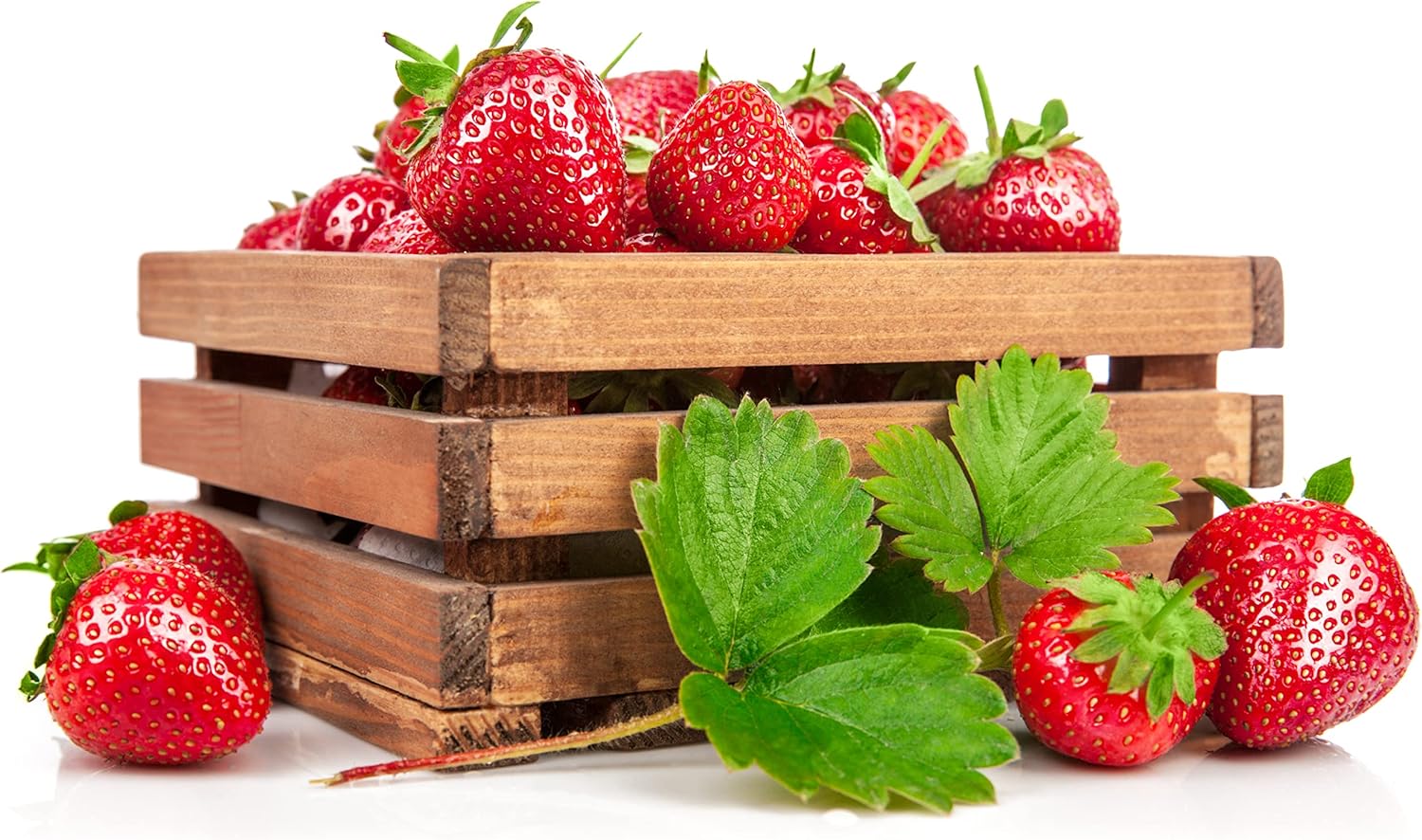 Amazon.com : Mara Des Bois Strawberry Bare Roots Plants, 25 per Pack ...