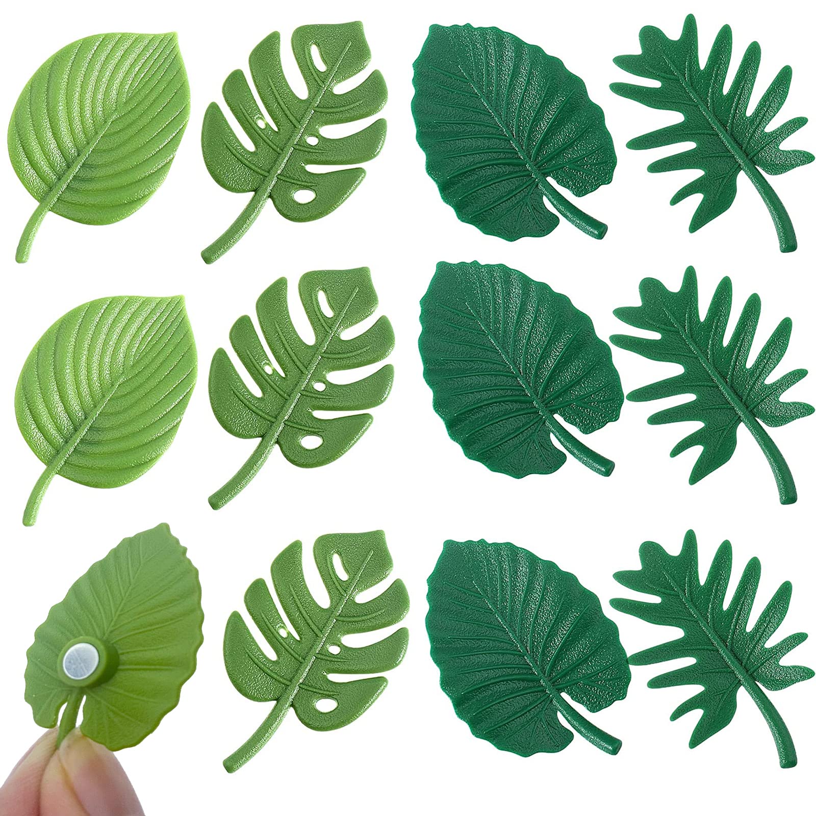 Amazon.com: HXJFGDM 12 pcs Monstera Plant Fridge Magnets - Fun Mini ...