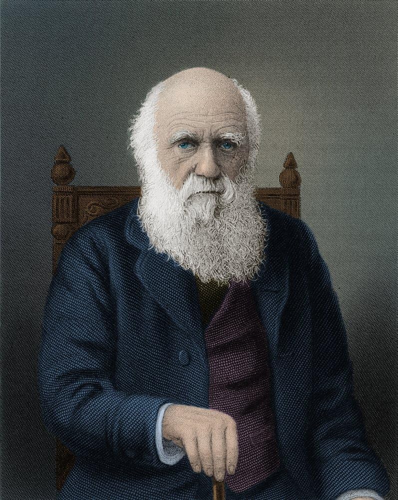 Amazon.com: Charles Darwin English Naturalist Poster Print by Science ...