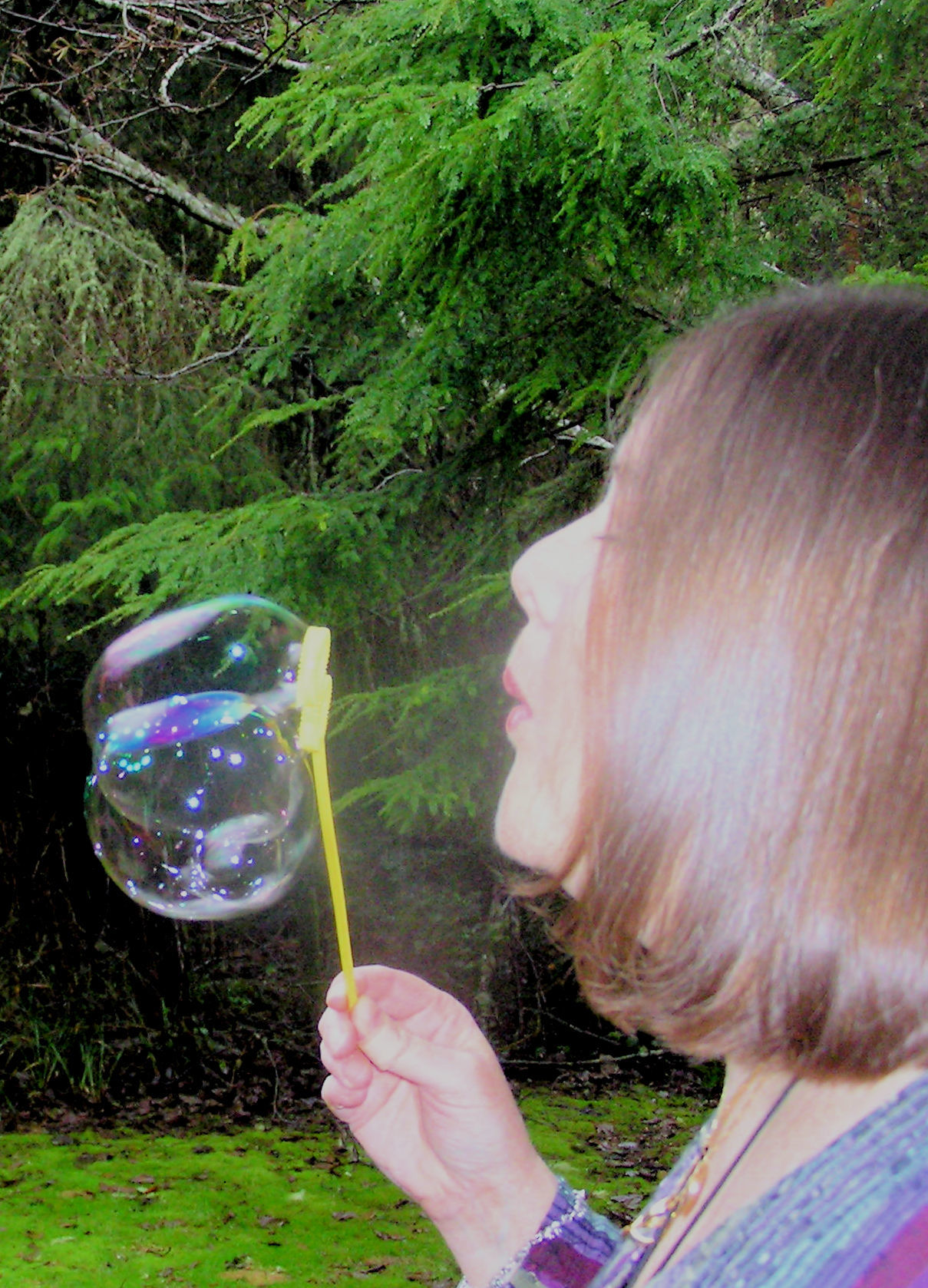 Amazon.co.uk: Andrea Rains Waggener: books, biography, latest update