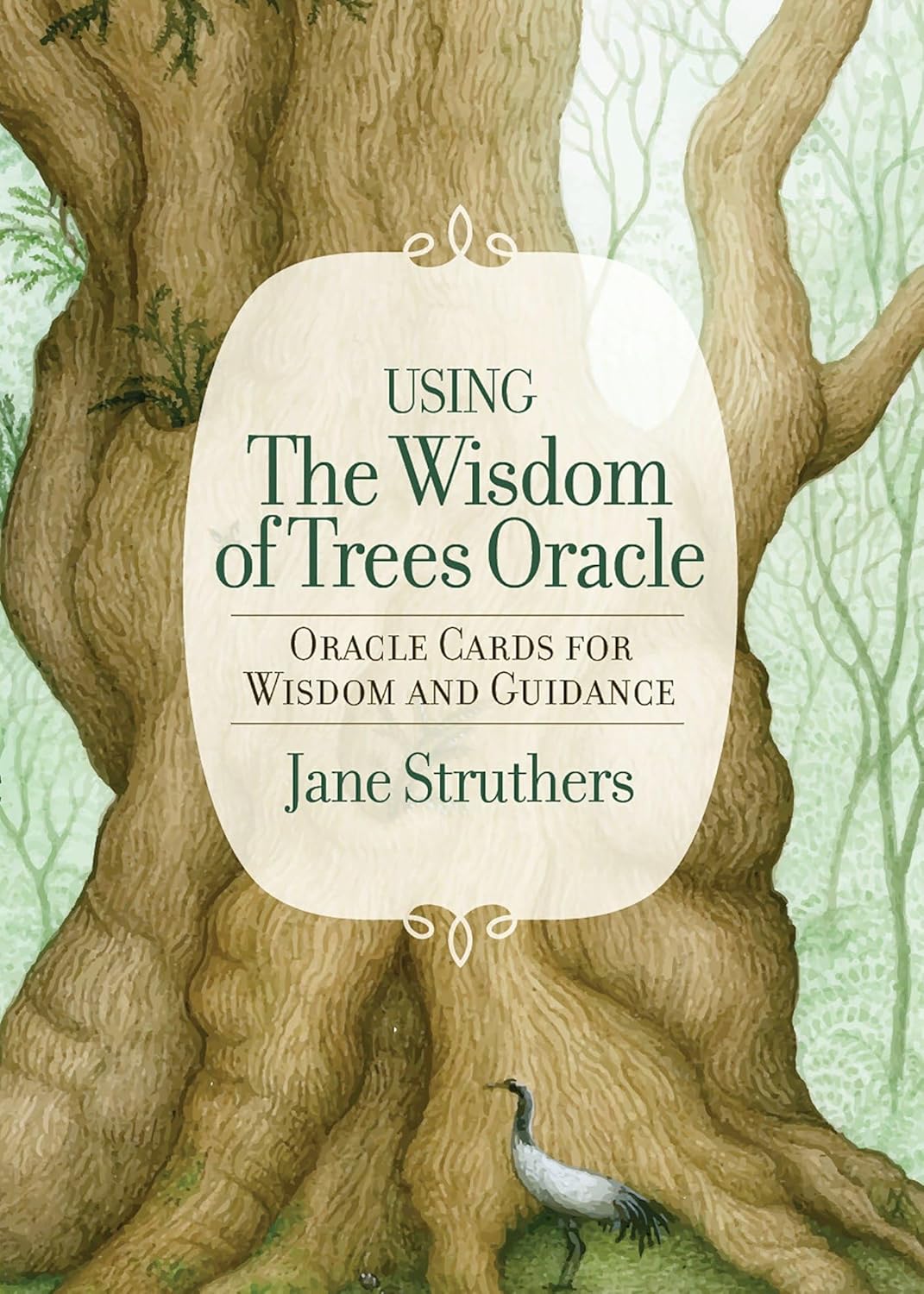 Amazon.com: The Wisdom of Trees Oracle: Inspirational Cards for Wisdom ...