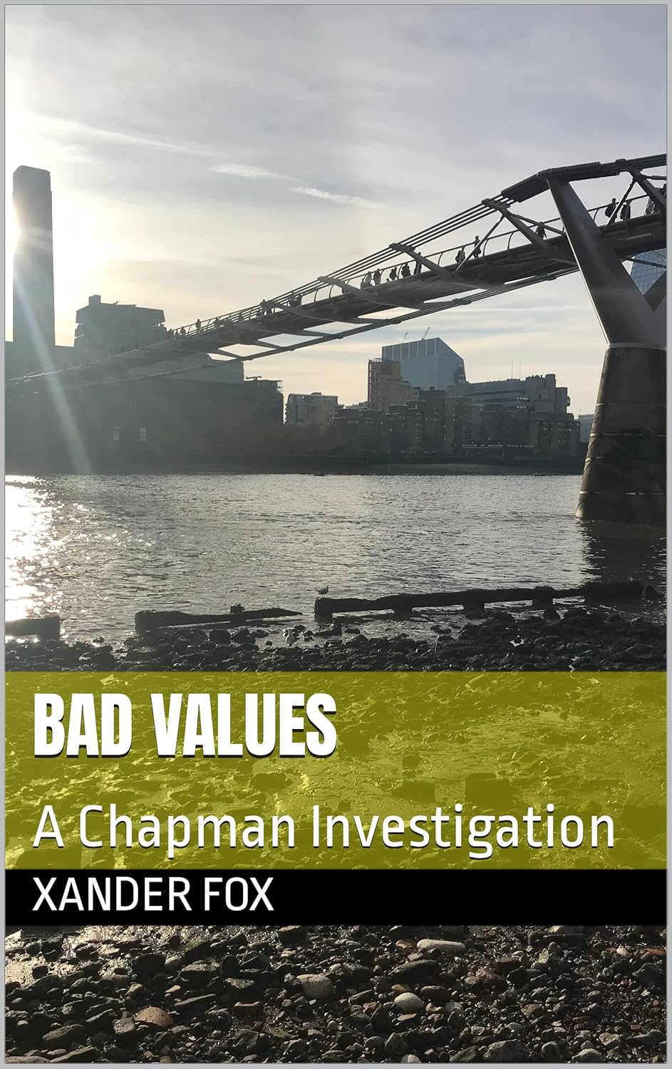 Amazon.com: Bad Values: A Chapman Investigation (Chapman Investigations ...