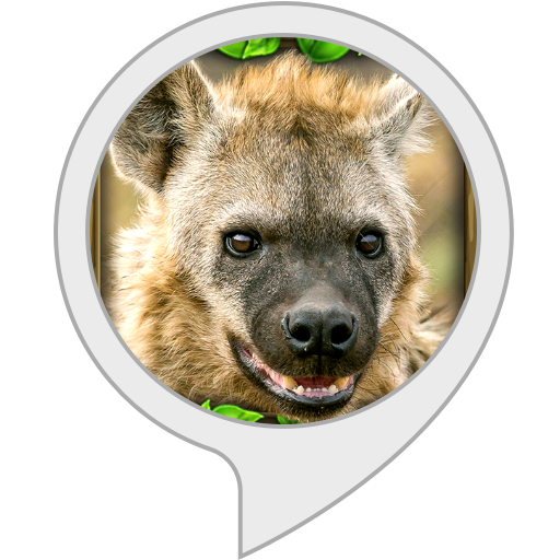 Amazon.in: Hyena Facts : Alexa Skills