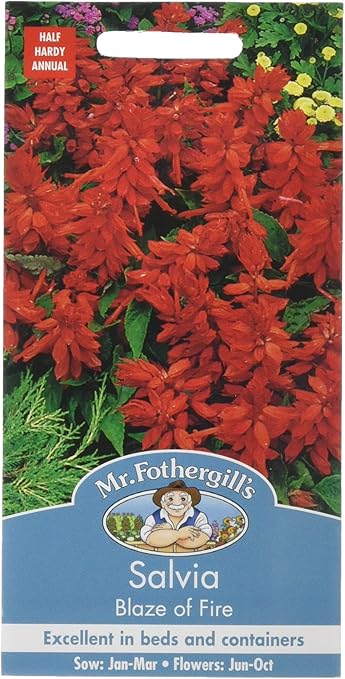 Mr Fothergill's 23103 Flower Seeds, SALVIA Blaze of Fire, Red : Amazon ...