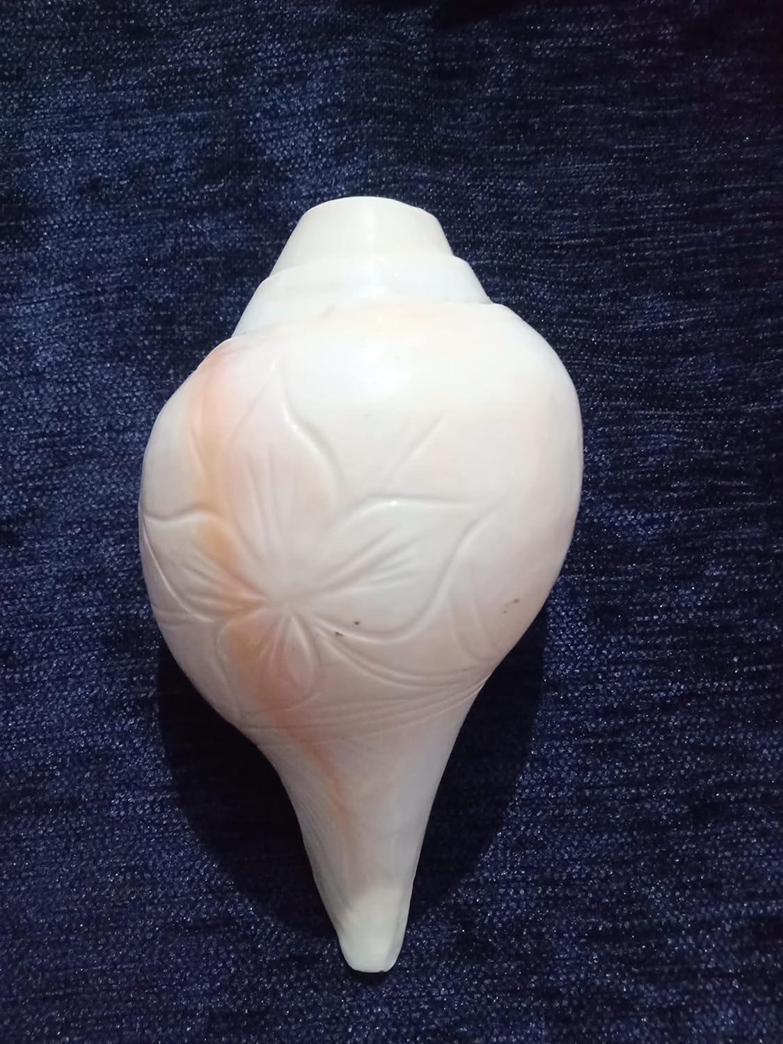 Holystore Natural and Original Rameshwaram Blowing Shankh शंख ...