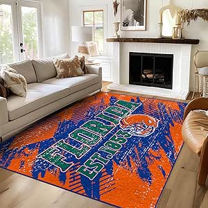 Amazon.com: Florida Rugs Bedroom Living Room Football Carpet Non-Slip ...