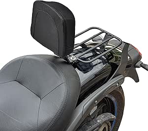 TAZGANTAX Motorcycle Driver Back Rest Rear Luggage Rack Compatible with ...