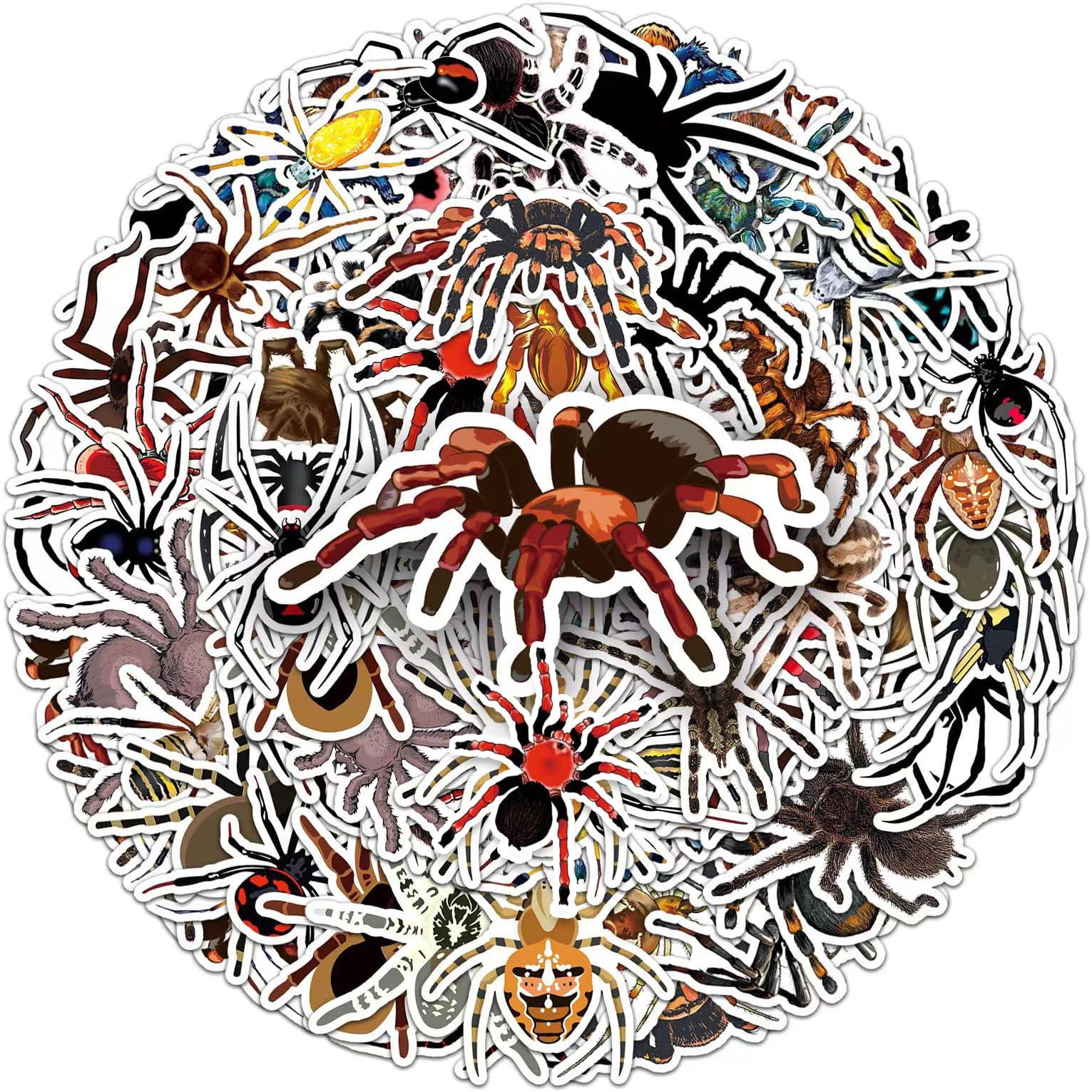 Amazon.com: HI-REEKE 50 pcs Spider Stickers Set, Jumping Spider Water ...