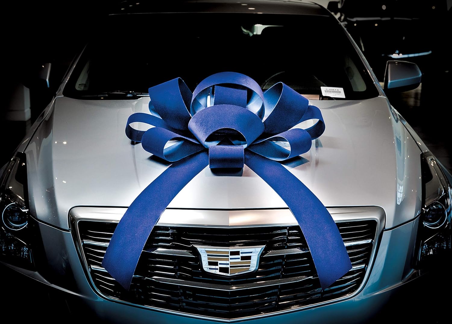 Amazon.com: CarBowz Big Blue Velvet Car Bow, Giant 30" Bow, Non Scratch ...